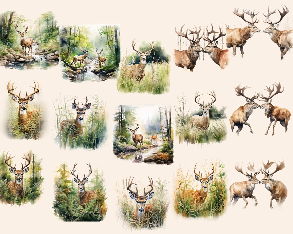 Deer Watercolor Clipart Bundle, Doe Images, Wildlife Graphics, Nature ...