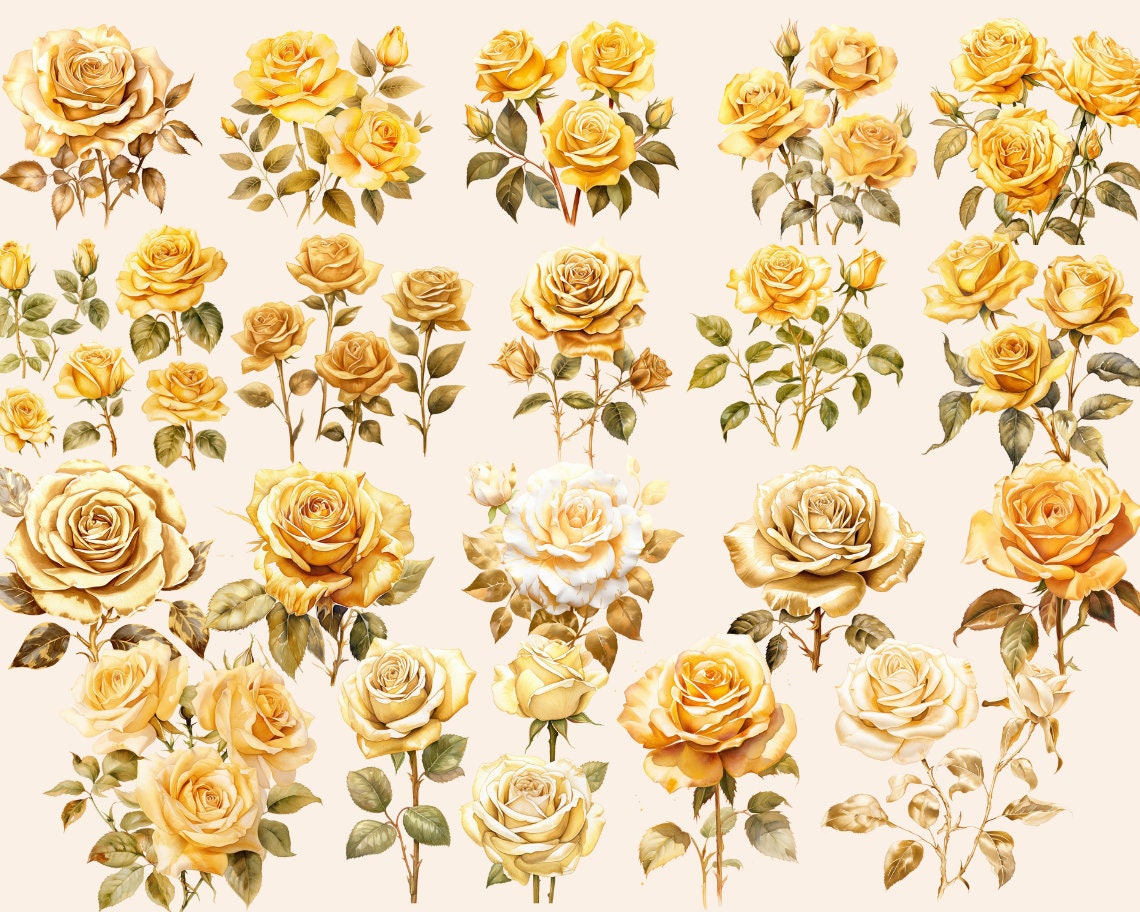 Golden Roses Watercolor Clipart Bundle, Gold Images, Beautiful Floral ...