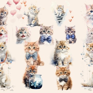 Persian Cats Watercolor Clipart Bundle, Cat Images, Cute Charming ...