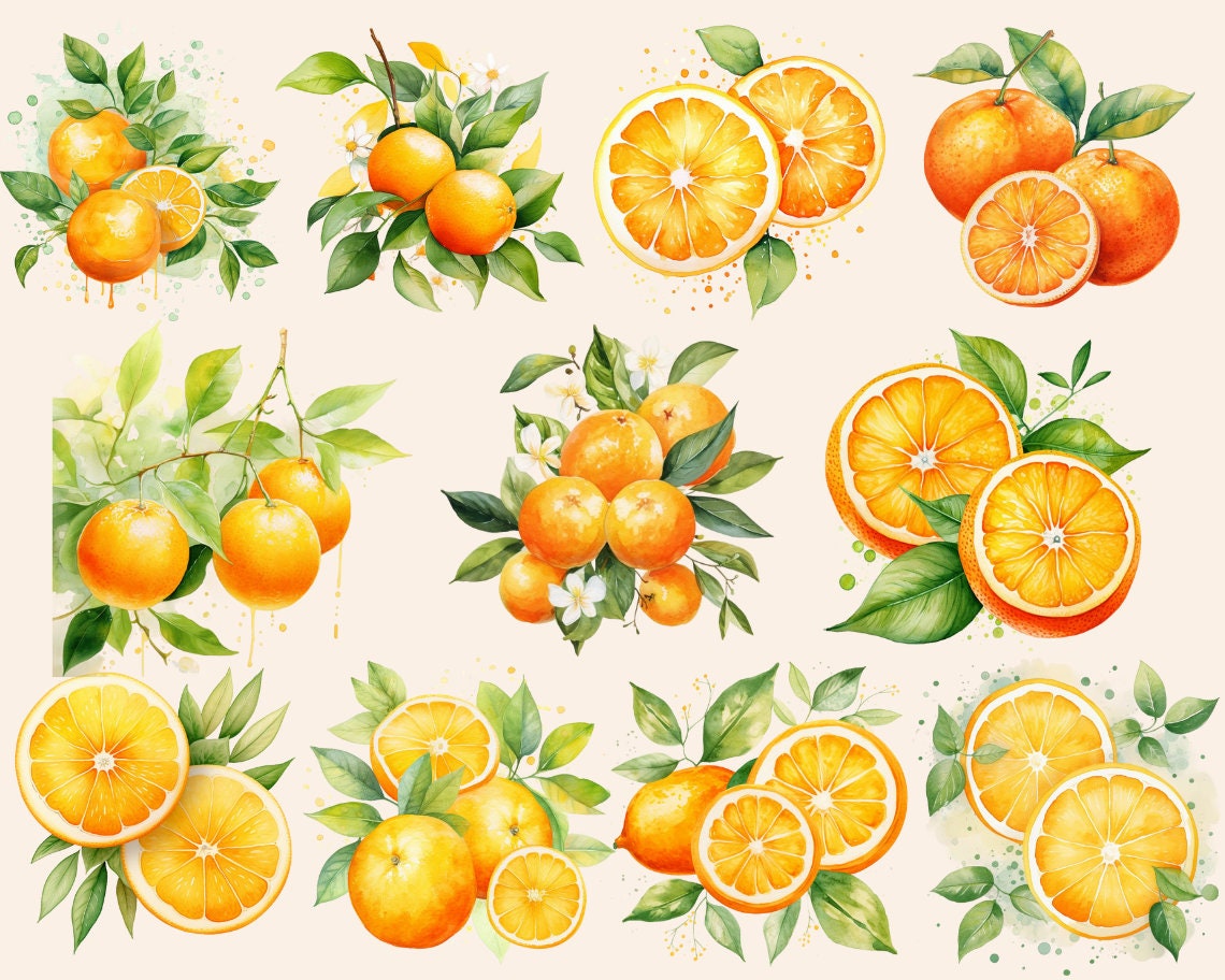 Oranges Watercolor Clipart Bundle Images of Refreshing Summer - Etsy