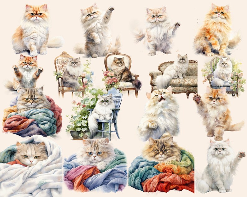 Persian Cats Watercolor Clipart Bundle Cat Images Cute - Etsy