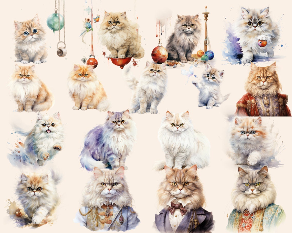 Persian Cats Watercolor Clipart Bundle Cat Images Cute - Etsy