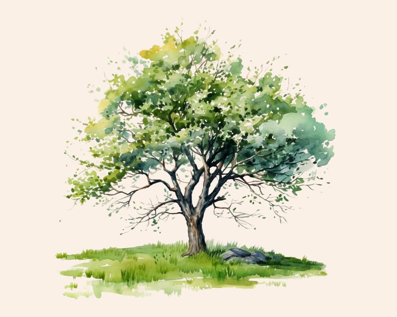 Plain Tree Watercolor Clipart Beautiful Trees Landscape - Etsy