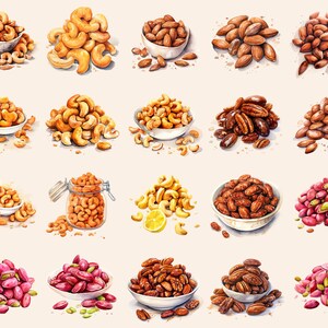 Nuts Watercolor Clipart Bundle, Wallnut PNG, Almond PNG, Nuts Clipart ...