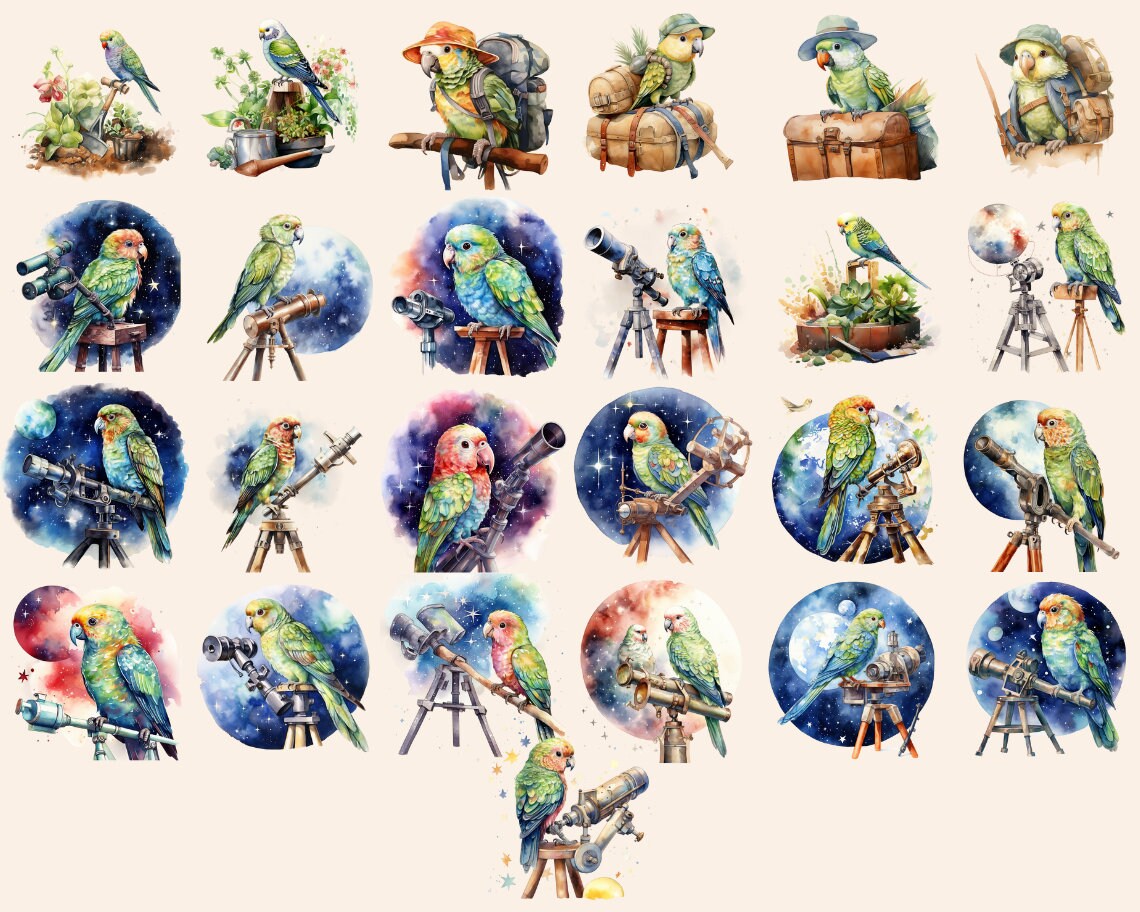Parakeet Watercolor Clipart, Tropical Birds Images, Summer Exotic ...