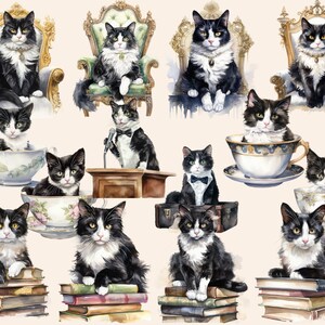 Tuxedo Cat Watercolor Clipart Bundle, Cat Images, Black and White ...