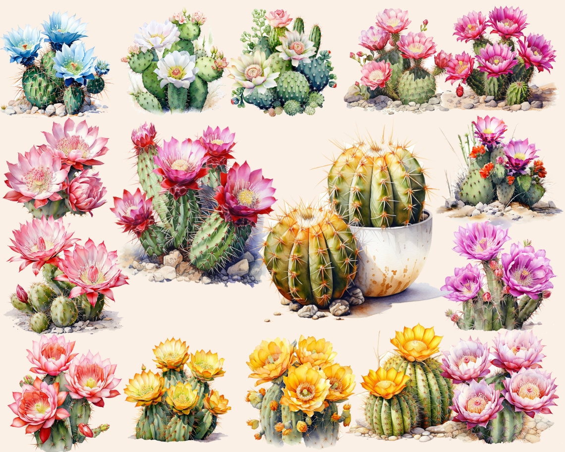 Cactus Watercolor Clipart Bundle, Cacti Images,desert Plant Graphics ...