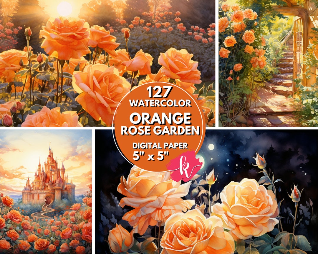 Orange Rose Garden Digital Paper, Rose Clipart, Watercolor Scrapbook ...