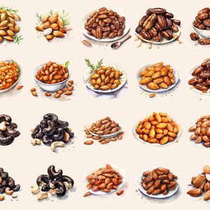 Nuts Watercolor Clipart Bundle, Wallnut PNG, Almond PNG, Nuts Clipart ...