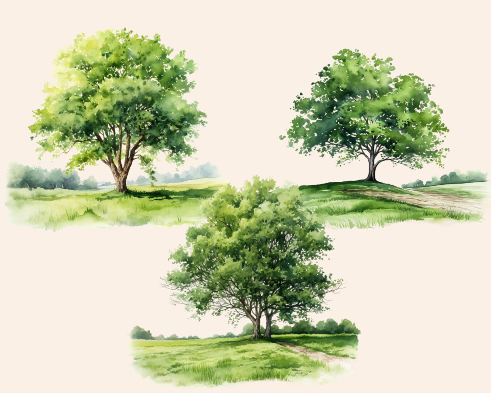 Plain Tree Watercolor Clipart, Beautiful Trees, Landscape Clipart ...