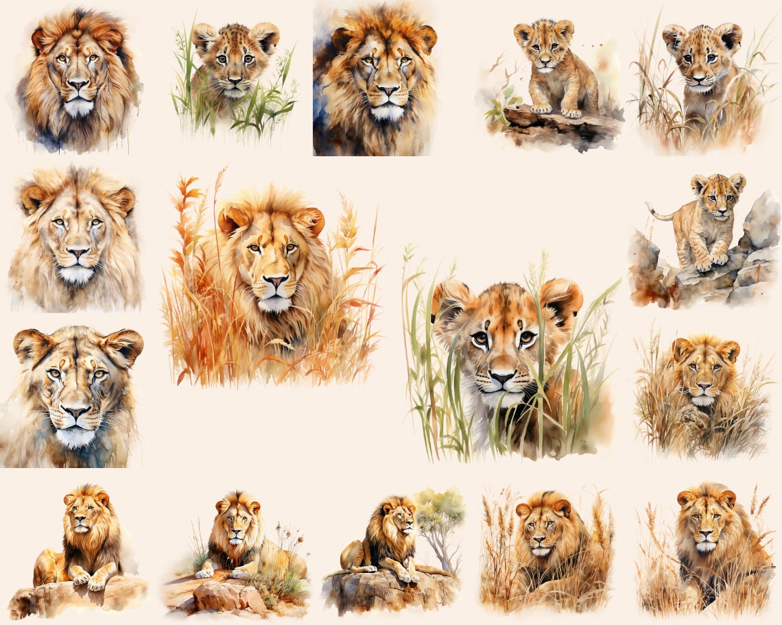 Lions Watercolor Clipart Bundle, Lion Safari Images, Majestic Savanna ...