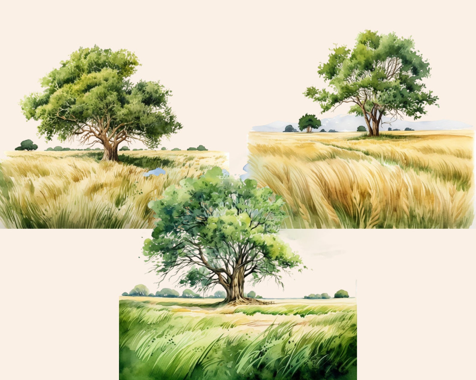 Plain Tree Watercolor Clipart, Beautiful Trees, Landscape Clipart ...
