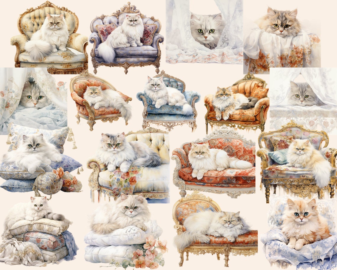 Persian Cats Watercolor Clipart Bundle Cat Images Cute - Etsy