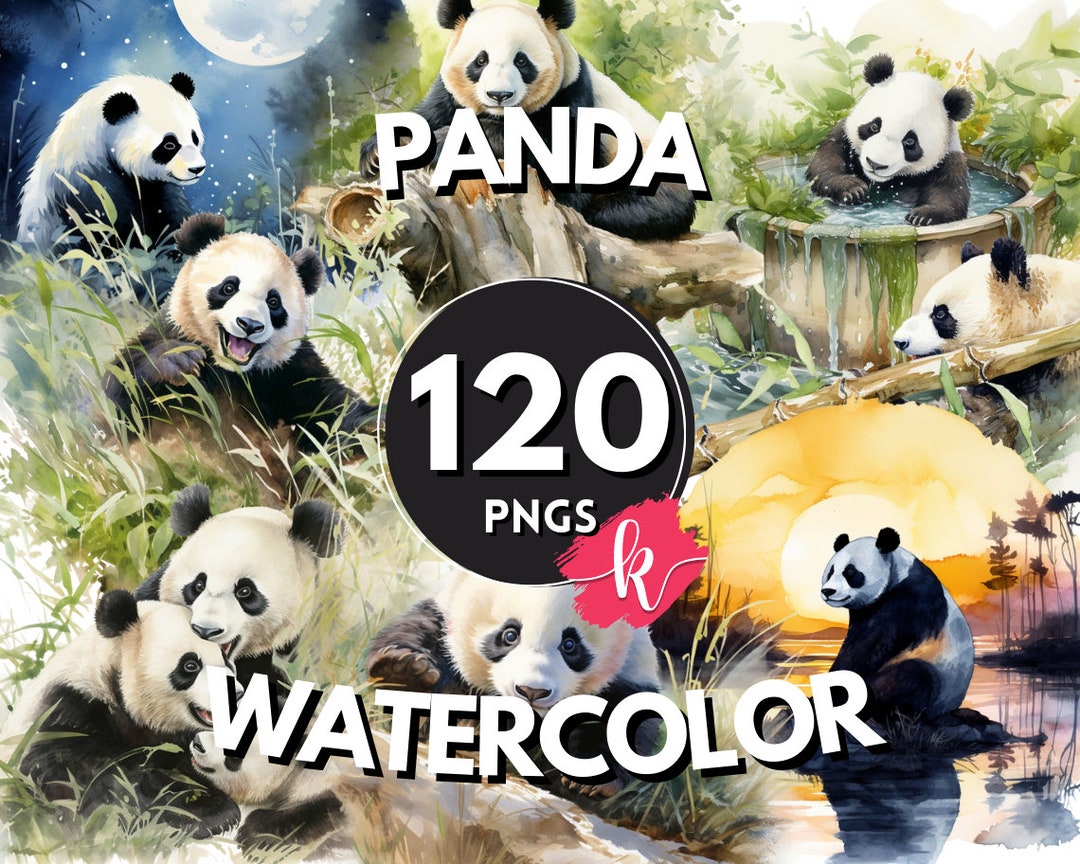 Panda Watercolor Clipart Set, Panda Illustration, Panda Clipart PNG ...