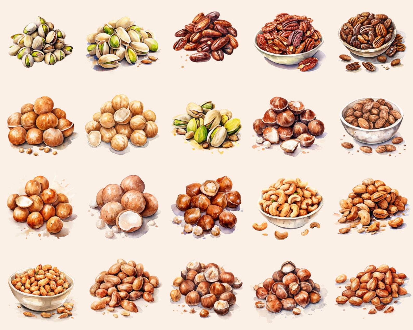 Nuts Watercolor Clipart Bundle, Wallnut PNG, Almond PNG, Nuts Clipart ...