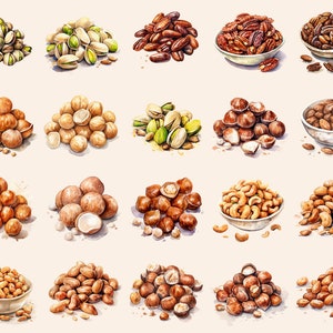 Nuts Watercolor Clipart Bundle, Wallnut PNG, Almond PNG, Nuts Clipart ...