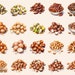 Nuts Watercolor Clipart Bundle, Wallnut PNG, Almond PNG, Nuts Clipart ...