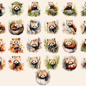 Red Panda Watercolor Clipart, Red Panda Png, Animal in Flowers Png ...