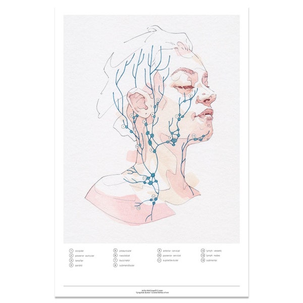 Lymphatic Drainage Poster - Etsy UK