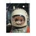Retro Cat Astronaut on Spaceship: 1970s Inspired, Cinematic Sets ...