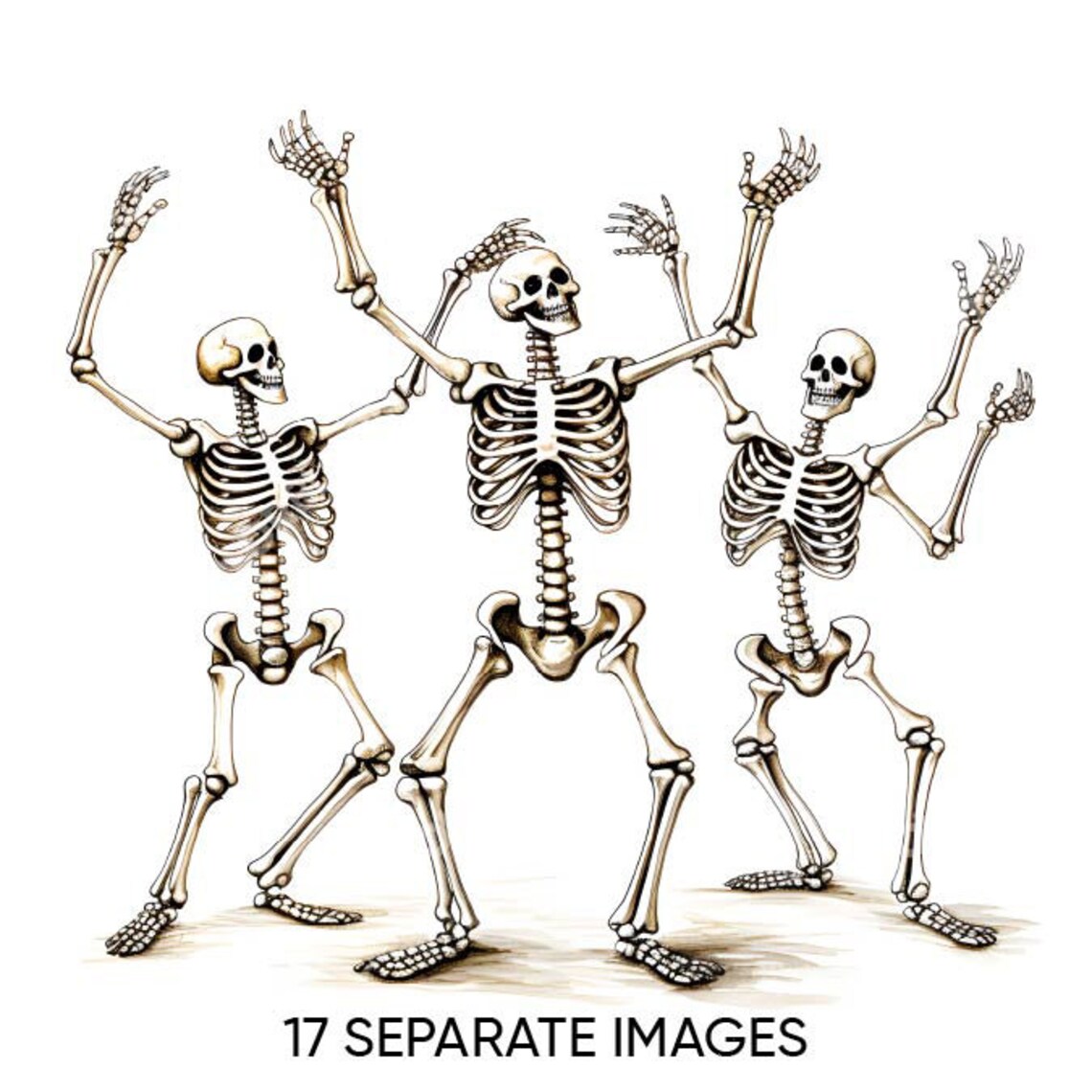 Playful Skeletons Clipart, Dancing Skeletons, Halloween Skeleton ...