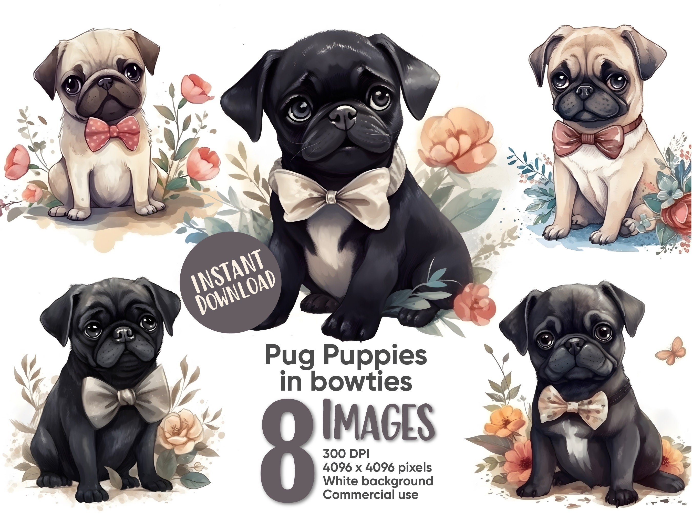 Pug Puppy Clipart: Black & Fawn Pugs in Bowties (digital Art) - Etsy