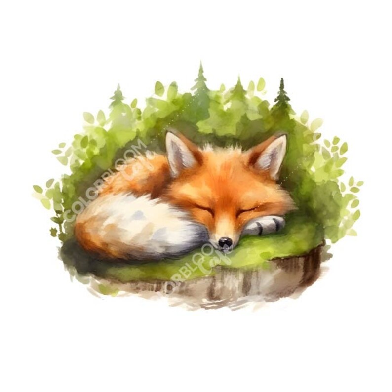 Sleeping Baby Fox Clipart, Watercolor Clipart Woodland Creatures, Baby ...