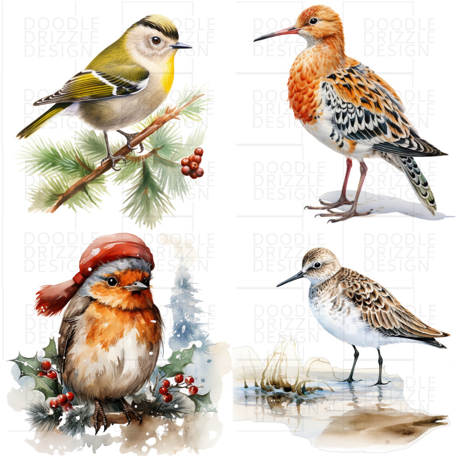 Watercolor Christmas Birds Clipart Bundle - Robin, Partridge, Dove - 56 ...