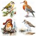 Watercolor Christmas Birds Clipart Bundle - Robin, Partridge, Dove - 56 ...