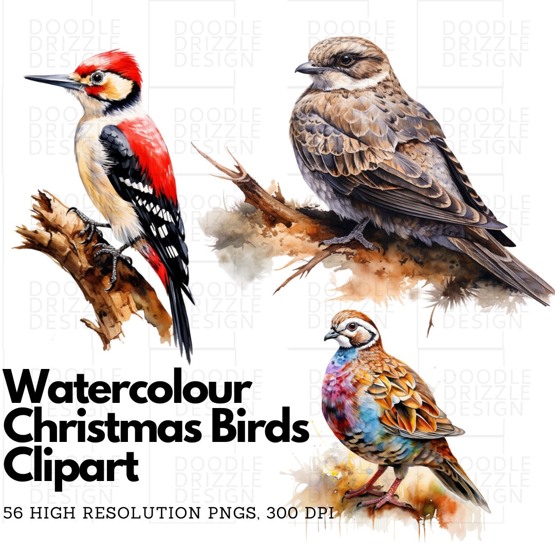 Watercolor Christmas Birds Clipart Bundle - Robin, Partridge, Dove - 56 ...