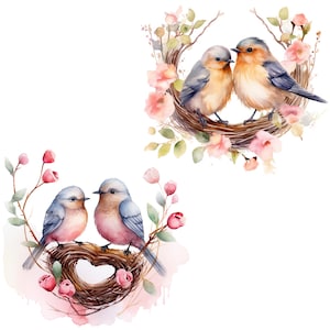 Romantic Bird Clipart Bundle - Sweet Lovebirds in a Heart-shaped Nest ...