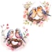 Romantic Bird Clipart Bundle - Sweet Lovebirds in a Heart-shaped Nest ...