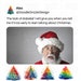 Rainbow Christmas Tree Clipart 24 High Quality Pngs, Digital Download ...