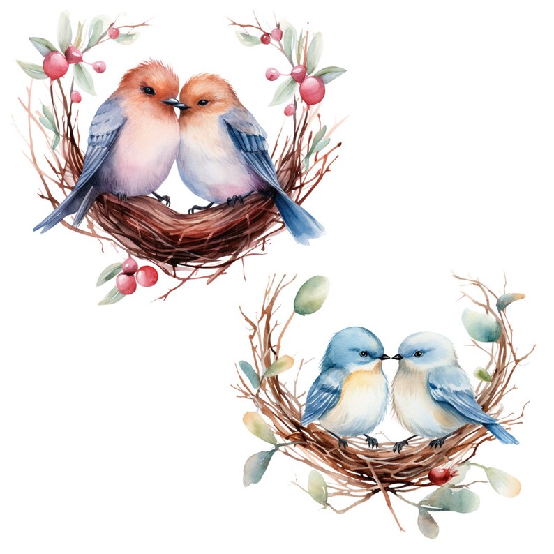 Romantic Bird Clipart Bundle - Sweet Lovebirds in a Heart-shaped Nest ...