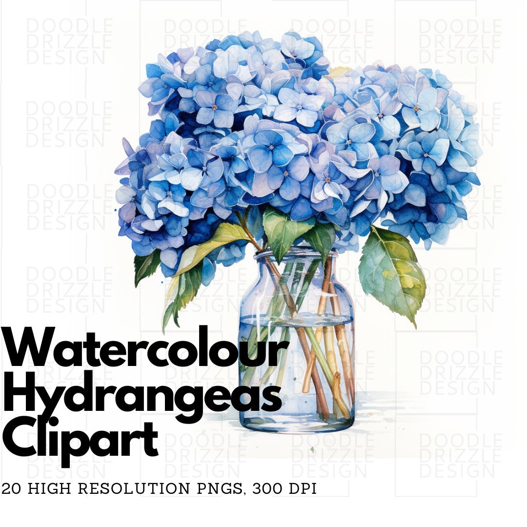 Watercolor Floral Hydrangeas Clipart, Garden Flowers Hydrangeas ...