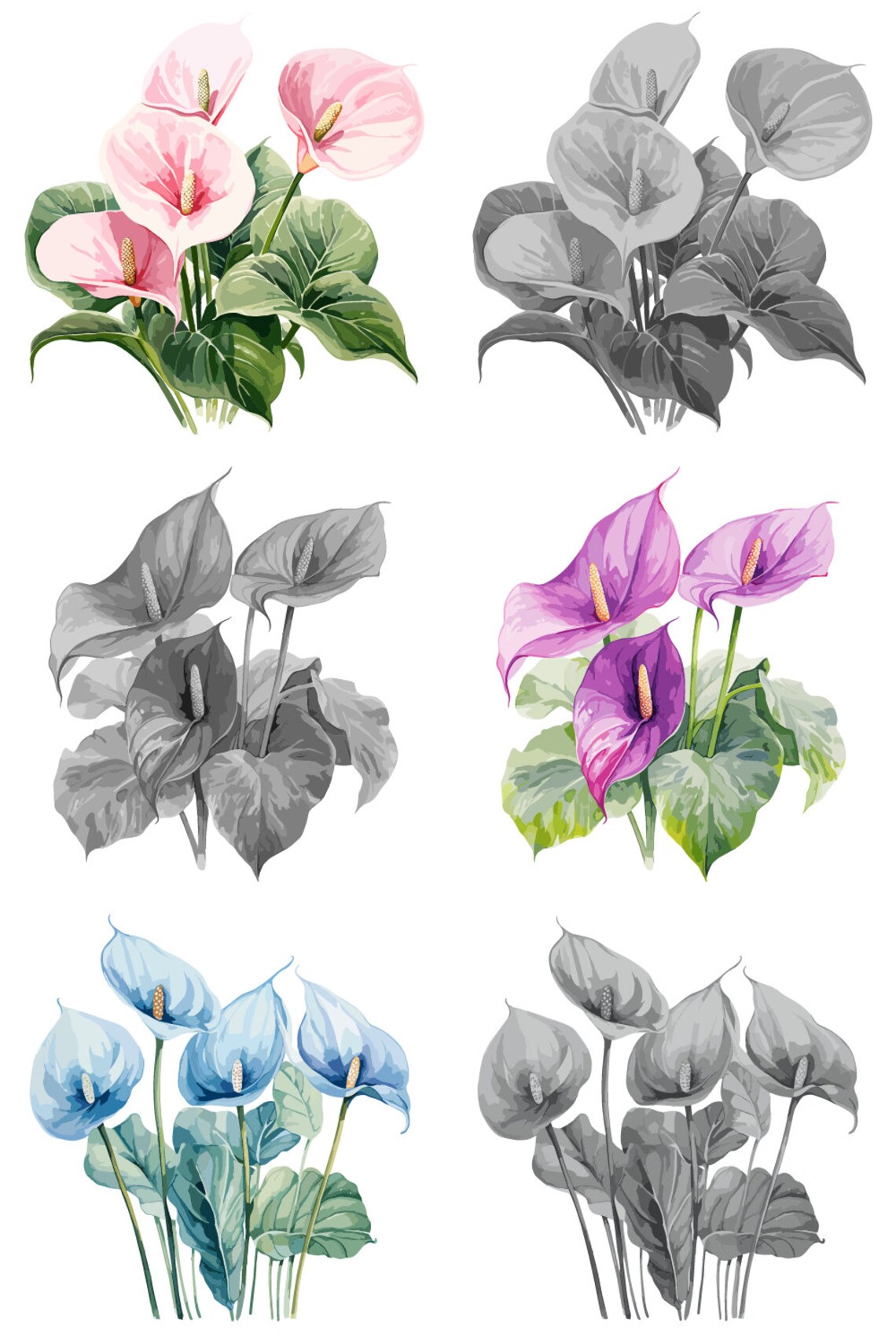 Anthurium Clipart Set Exotic Floral SVG Pack for Crafts and Design ...