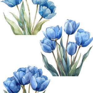 Watercolor Blue Tulips Clipart Pack - 20 Pngs - Beautiful Summer ...