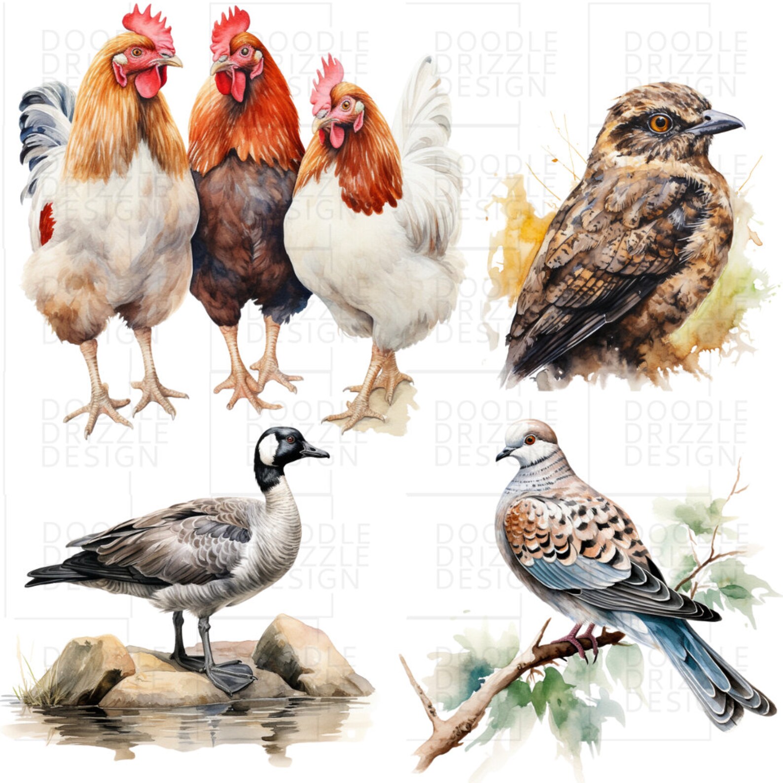Watercolor Christmas Birds Clipart Bundle - Robin, Partridge, Dove - 56 ...