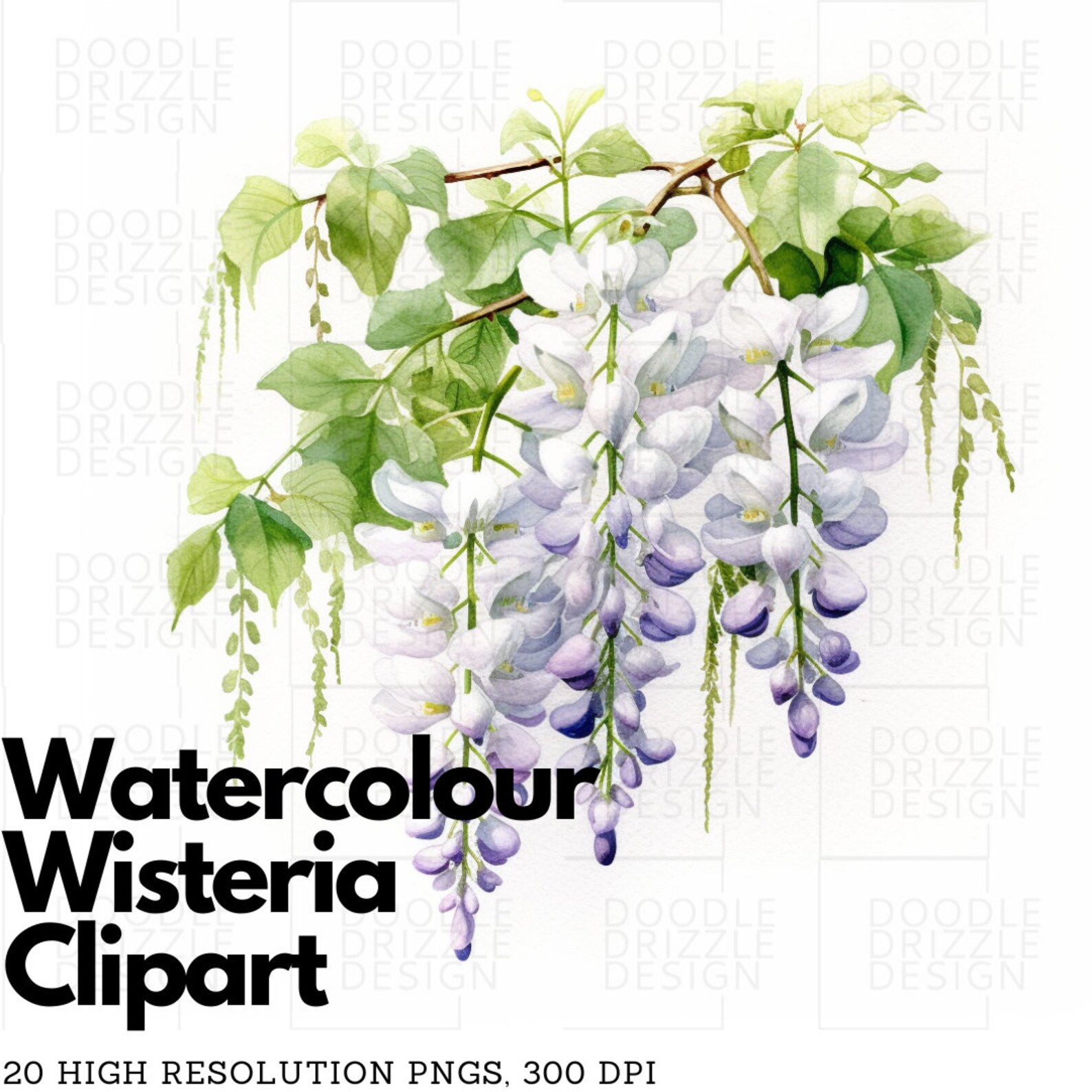 Watercolor Floral Wisteria Clipart, Summer Flowers Spring Floral ...