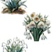 Watercolor Snowdrops Clipart Pack 20 Pngs With Transparent Backgrounds ...