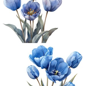 Watercolor Blue Tulips Clipart Pack - 20 Pngs - Beautiful Summer ...