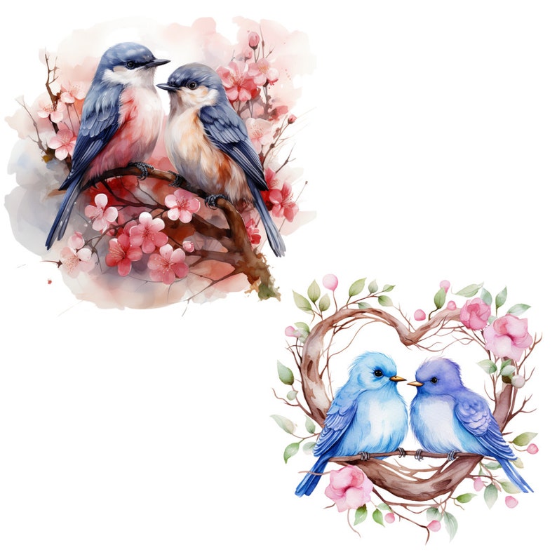 Romantic Bird Clipart Bundle Sweet Lovebirds in a Heart-shaped Nest 20 ...