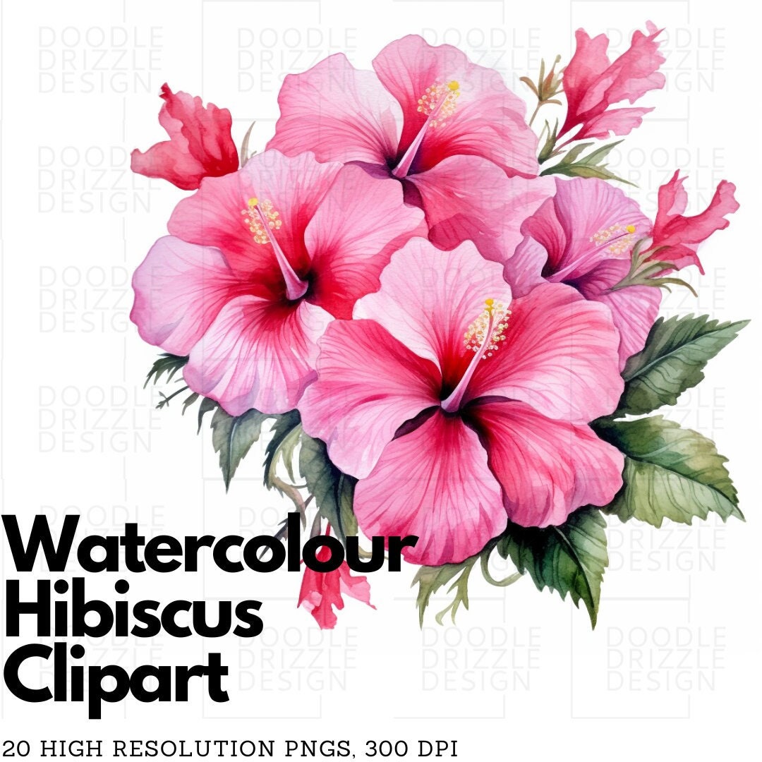 Watercolor Floral Hibiscus Clipart, Tropical Flowers Hibiscus Floral ...