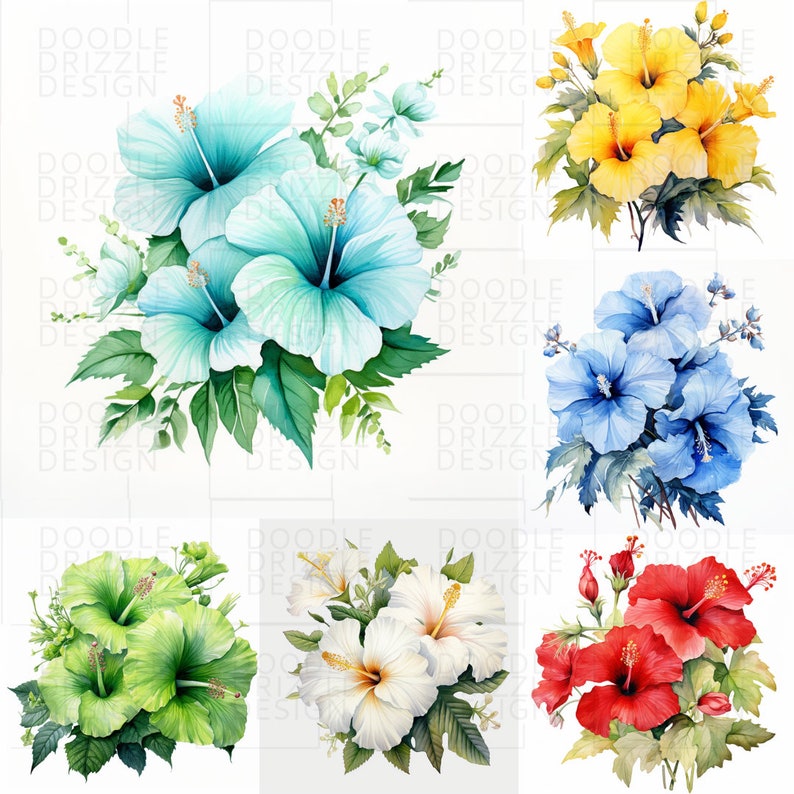 Watercolor Floral Hibiscus Clipart, Tropical Flowers Hibiscus Floral ...