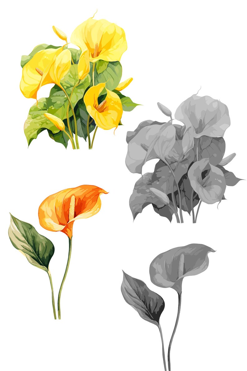 Anthurium Clipart Set - Exotic Floral SVG Pack for Crafts and Design ...