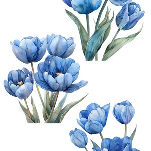 Watercolor Blue Tulips Clipart Pack - 20 Pngs - Beautiful Summer ...