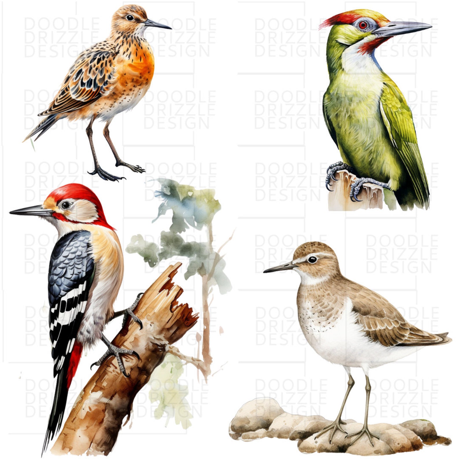 Watercolor Christmas Birds Clipart Bundle - Robin, Partridge, Dove - 56 ...