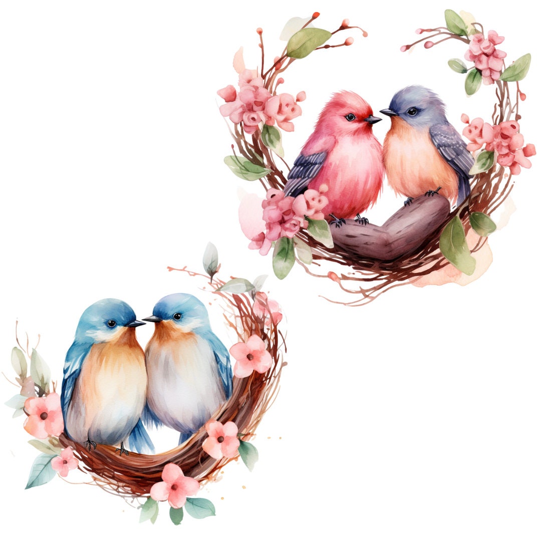 Romantic Bird Clipart Bundle Sweet Lovebirds in a Heart-shaped Nest 20 ...