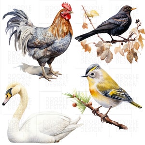 Watercolor Christmas Birds Clipart Bundle - Robin, Partridge, Dove - 56 ...