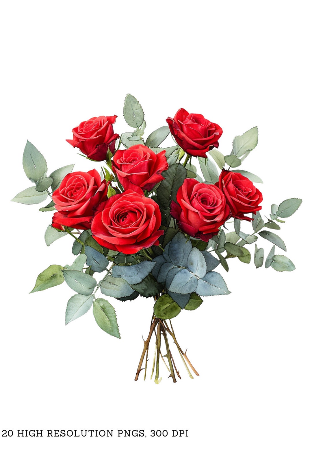Watercolor Red Roses Clipart Pack - 20 Pngs With Transparent ...